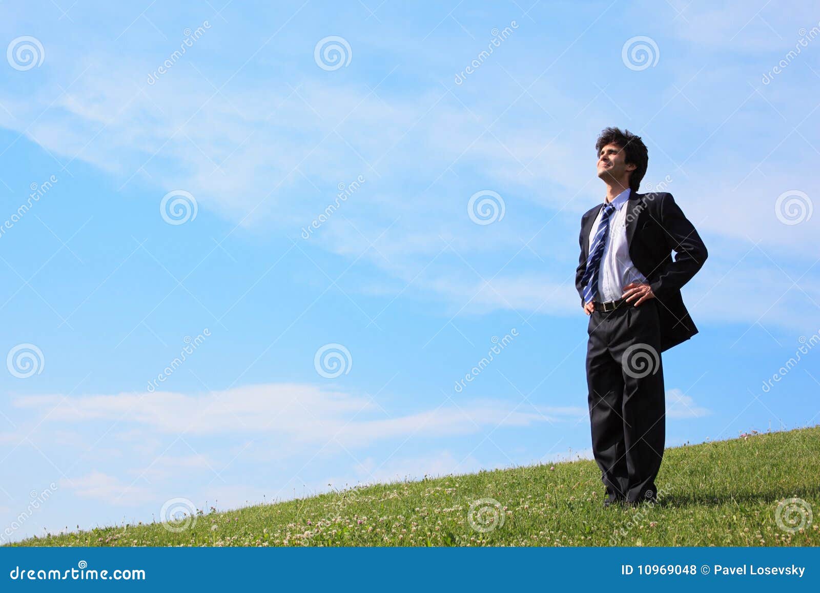Businessman Stand on the Meadow Stock Photo - Image of field, meadow ...