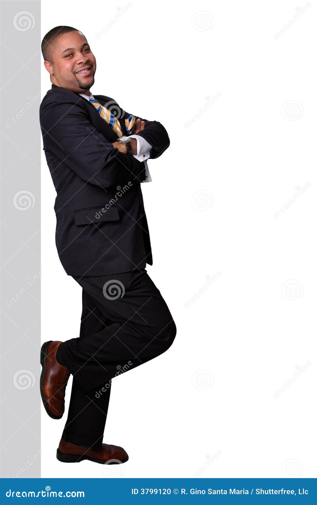 Businessman Standing stock photo. Image of executive, business - 3799120