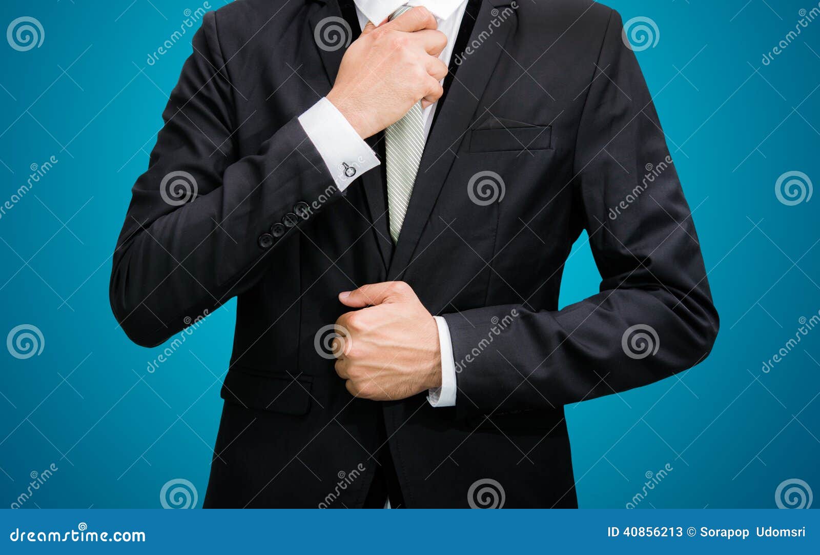 Businessman Standing Posture Show Hand Isolated Stock Image - Image of ...