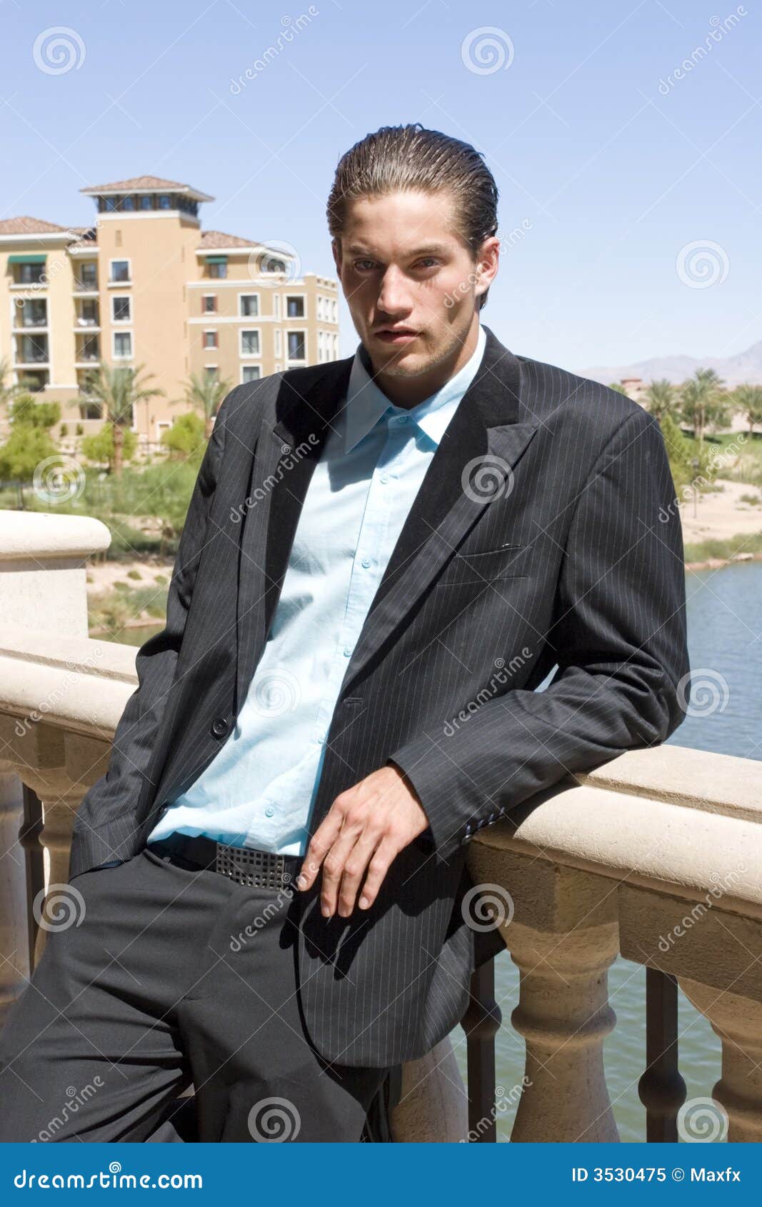 Businessman in suit stock image. Image of executive, cute - 3530475