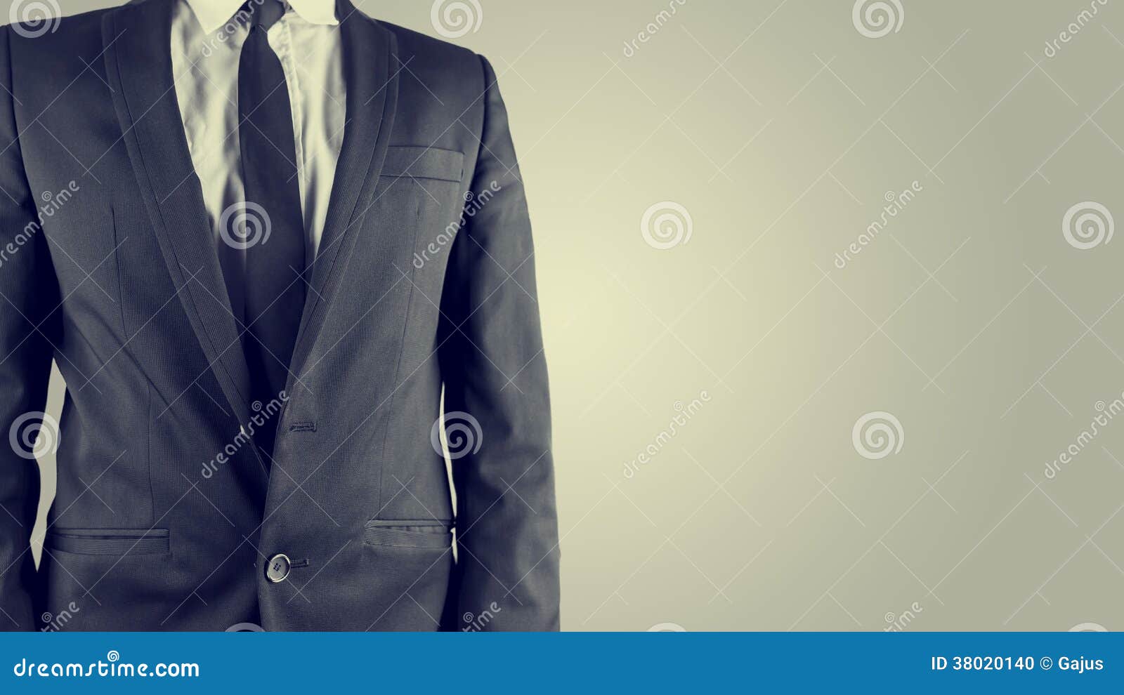 Businessman in a Suit, Torso View Stock Photo - Image of elegance ...