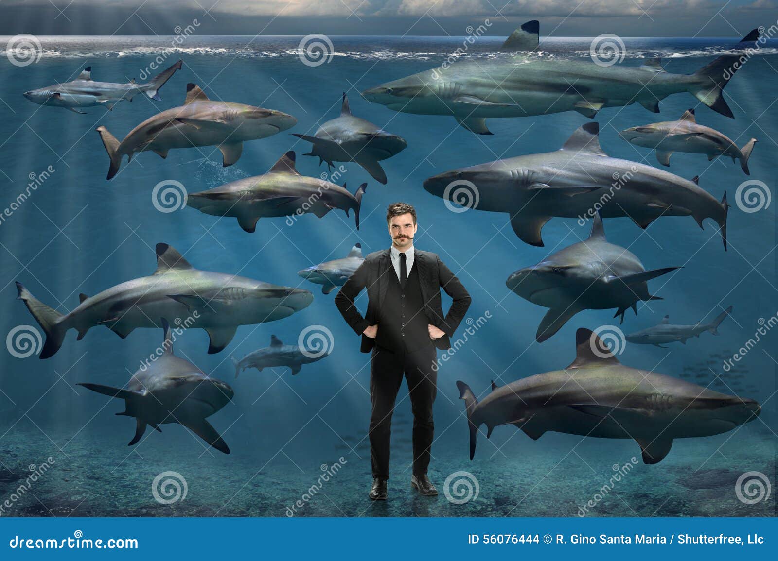 Businessman Surrounded by Sharks Stock Photo - Image of concept, wild ...