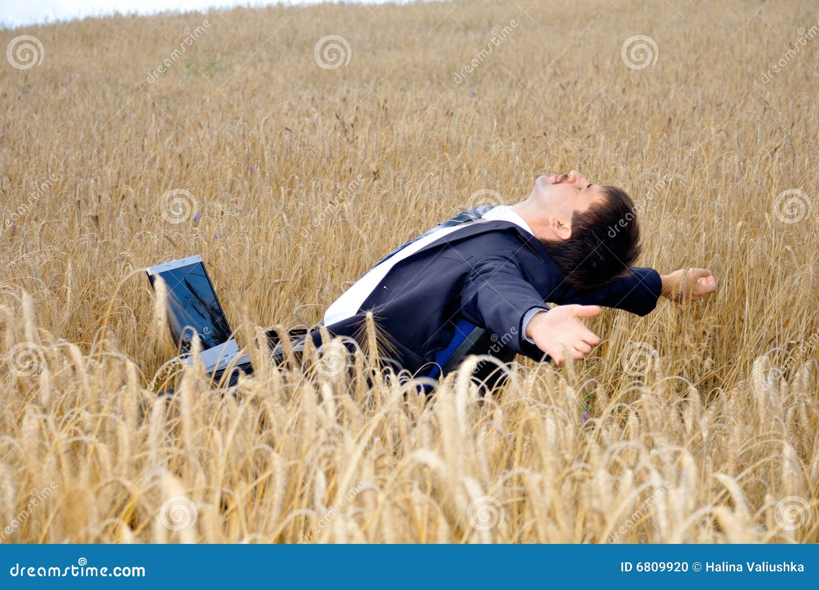 Businessman Takes a Rest in Field Stock Photo - Image of executive ...