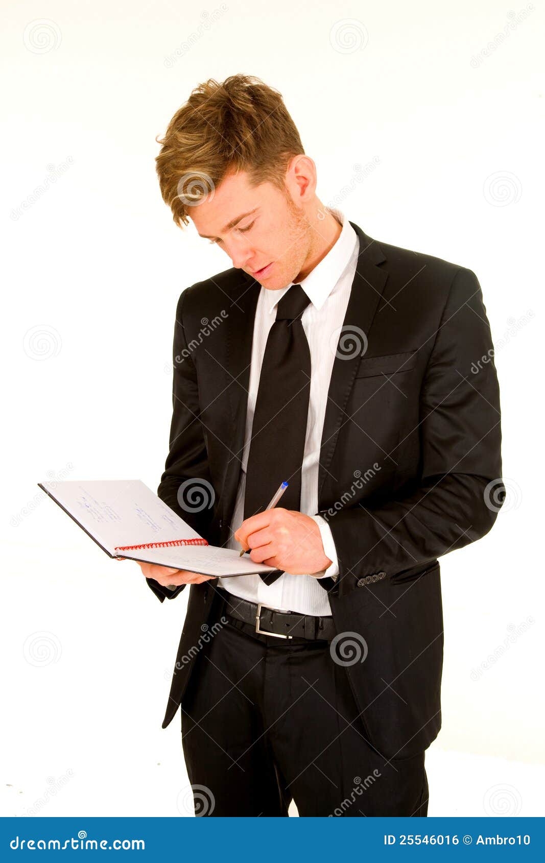 Businessman taking notes stock photo. Image of standing - 25546016