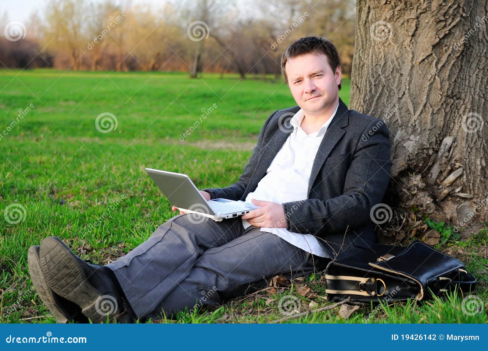 Businessman under a tree stock photo. Image of briefcase - 19426142