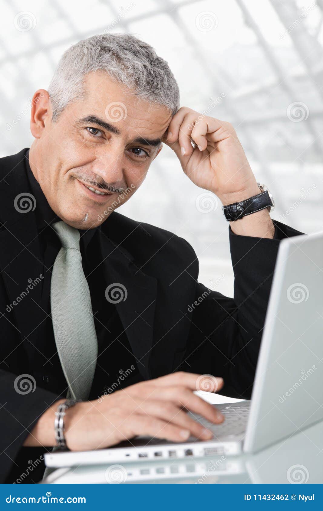 Businessman using laptop stock photo. Image of hallway - 11432462