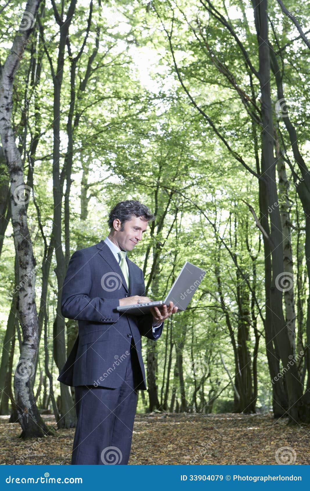 Businessman Using Laptop in Forest Stock Image - Image of business ...