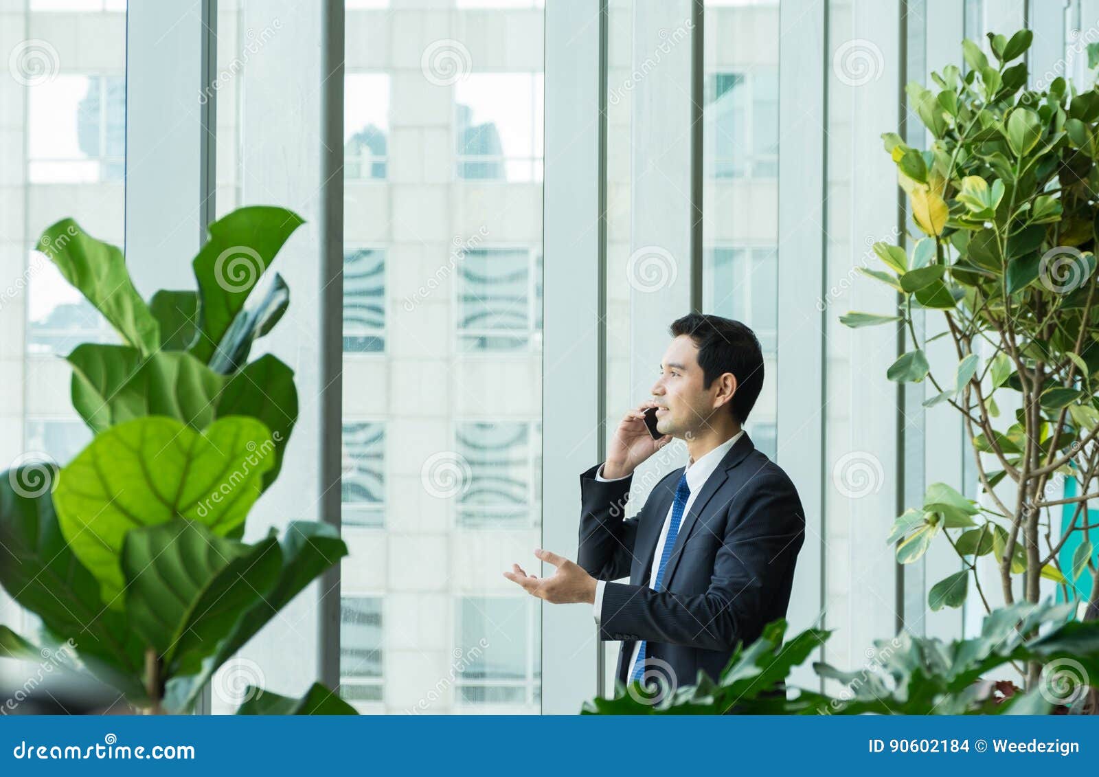 Businessman Using Mobile Phone Near Office Window at Receptions Stock ...