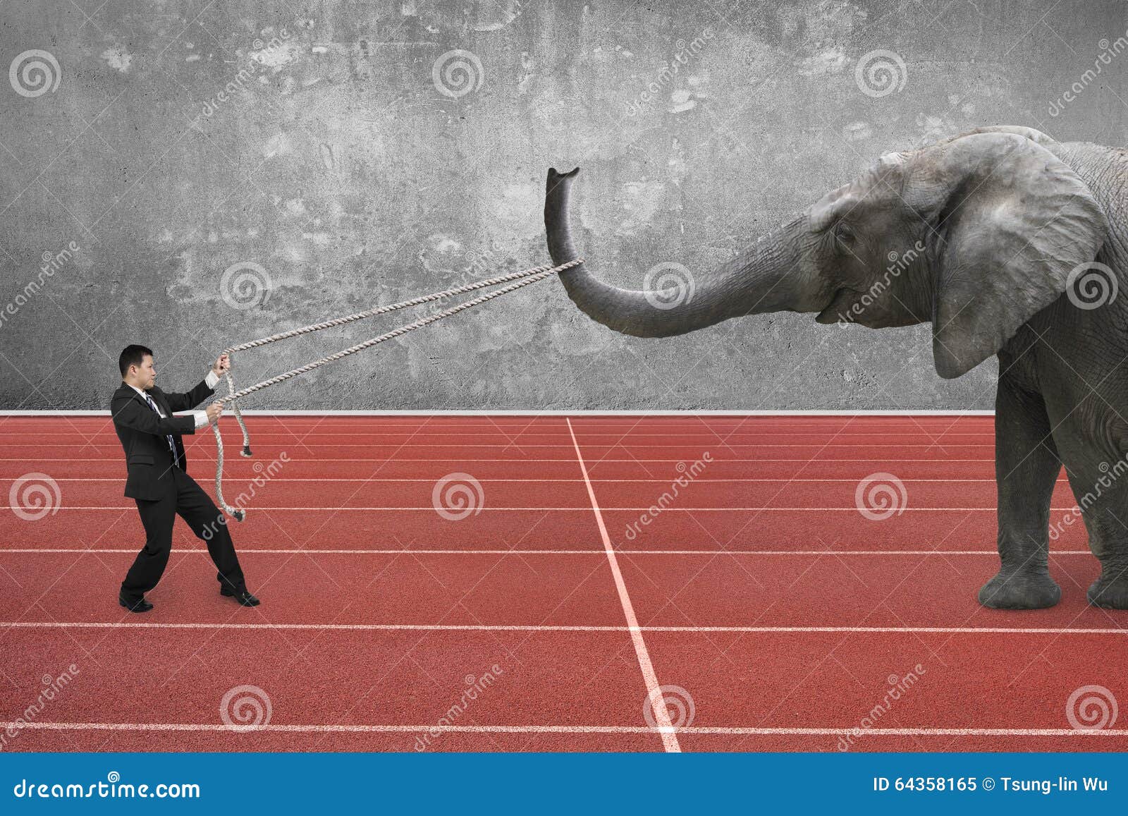 Businessman Using Rope Pulling Elephant Stock Image - Image of life ...