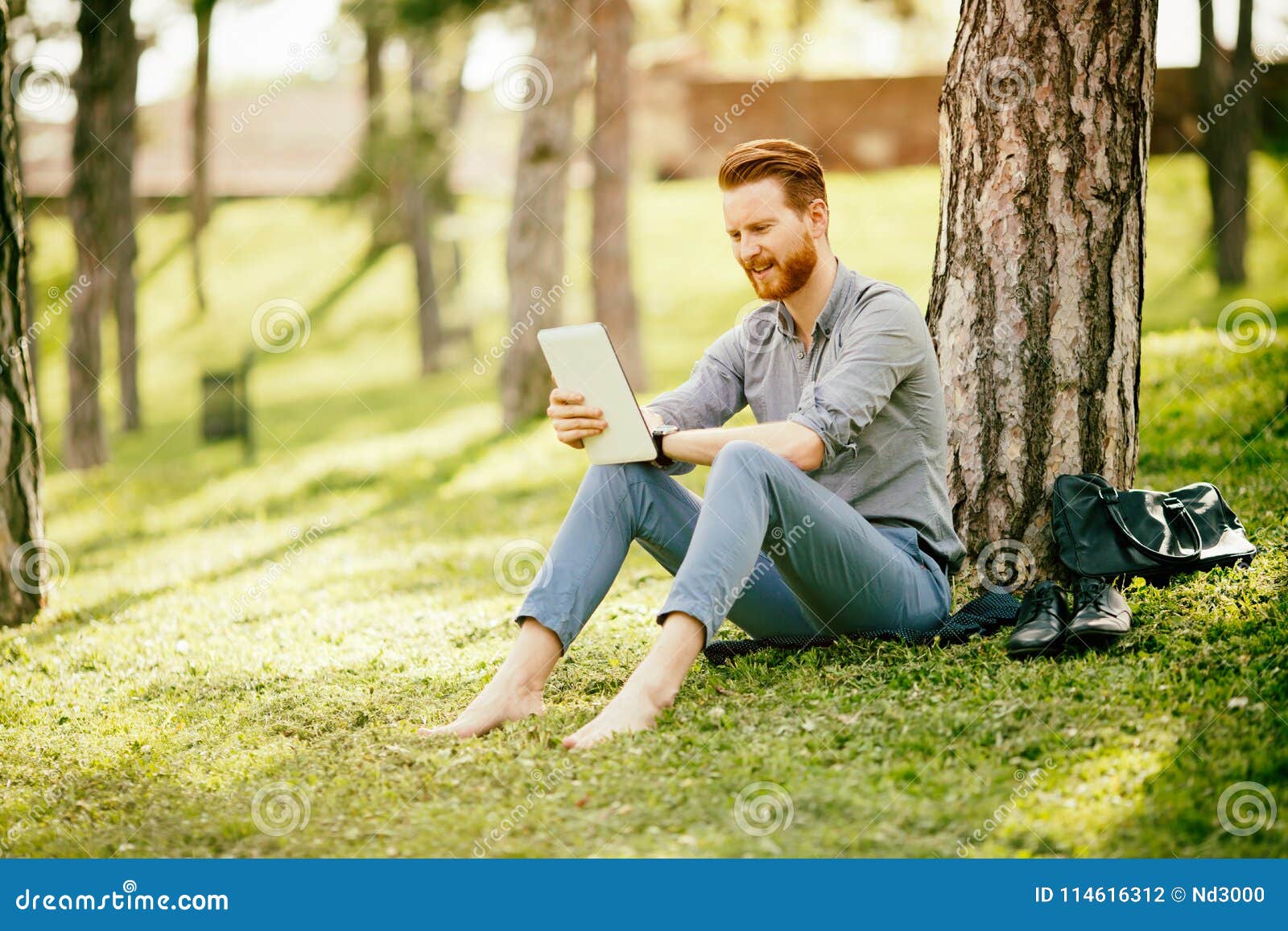 Businessman Using Tablet in Park Stock Photo - Image of news, computer ...
