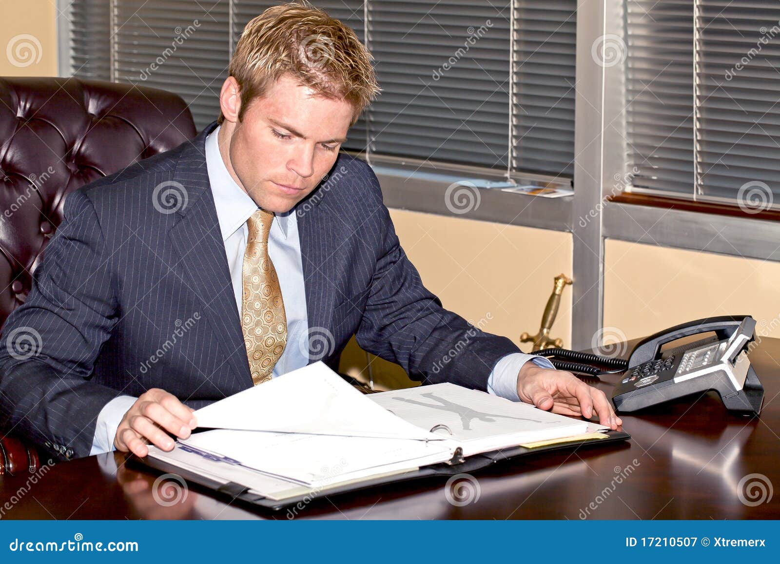 Businessman at work. stock image. Image of manager, blue - 17210507