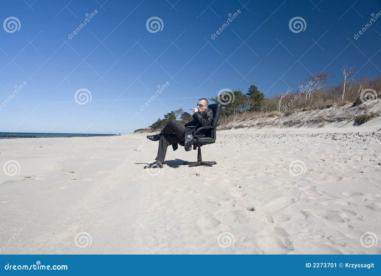 Businessman Working from Beach Stock Image - Image of mobile ...