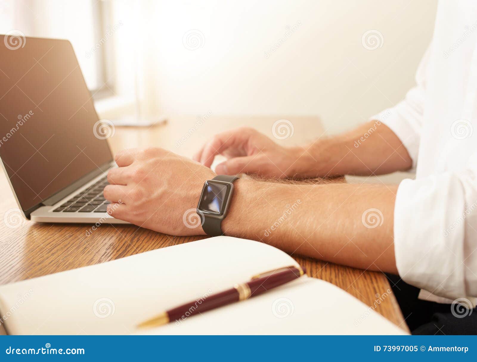 Businessman Working on Laptop Stock Image - Image of home, sitting ...