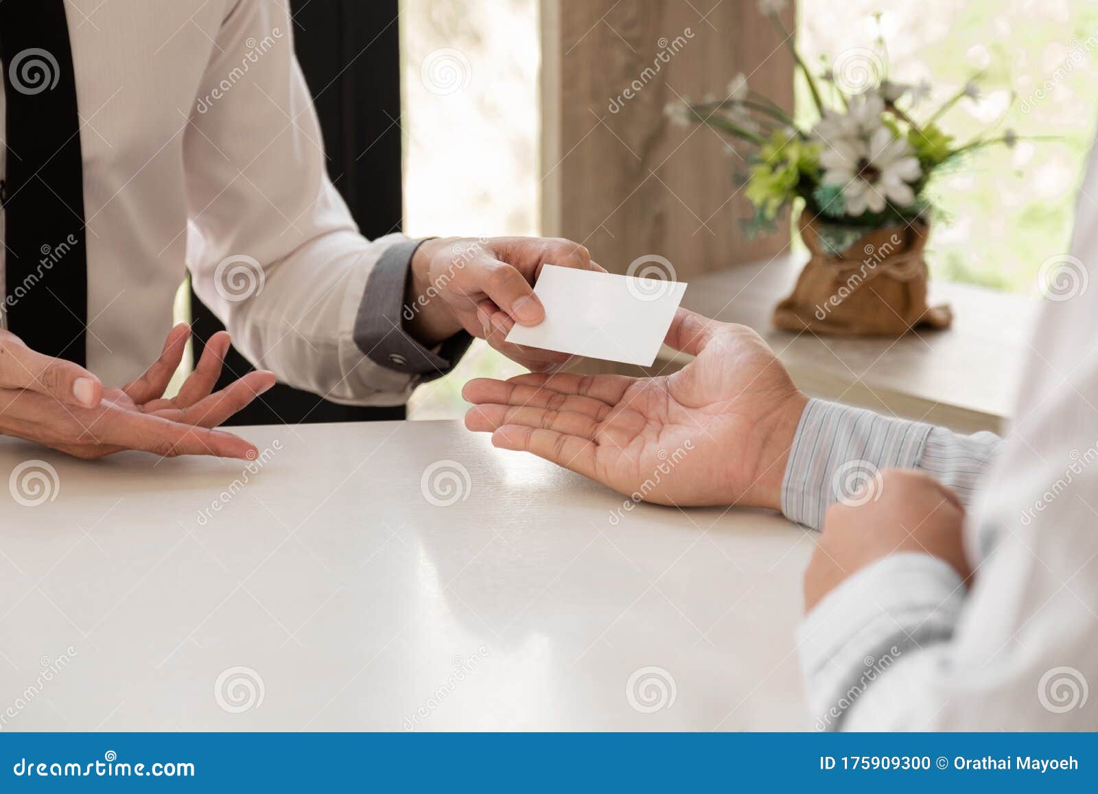 Businessmen Give Their Own Cards at Work Stock Photo - Image of ...