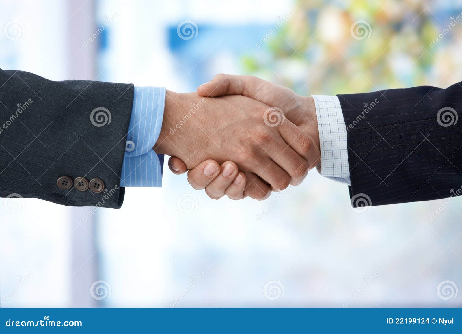 Businessmen shaking hand stock photo. Image of males - 22199124