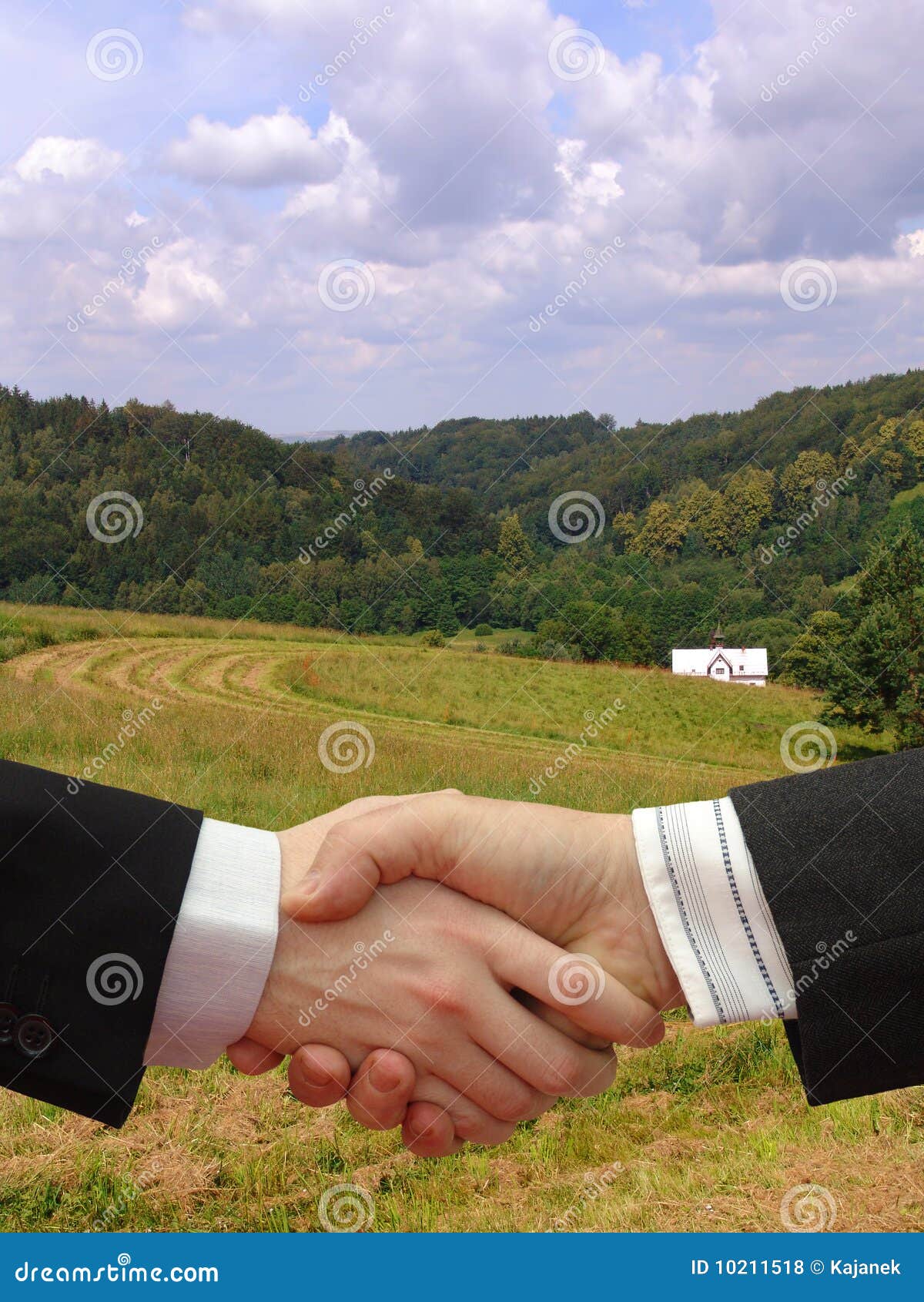 Businessmen Shaking Hands in the Green Nature Stock Photo - Image of ...