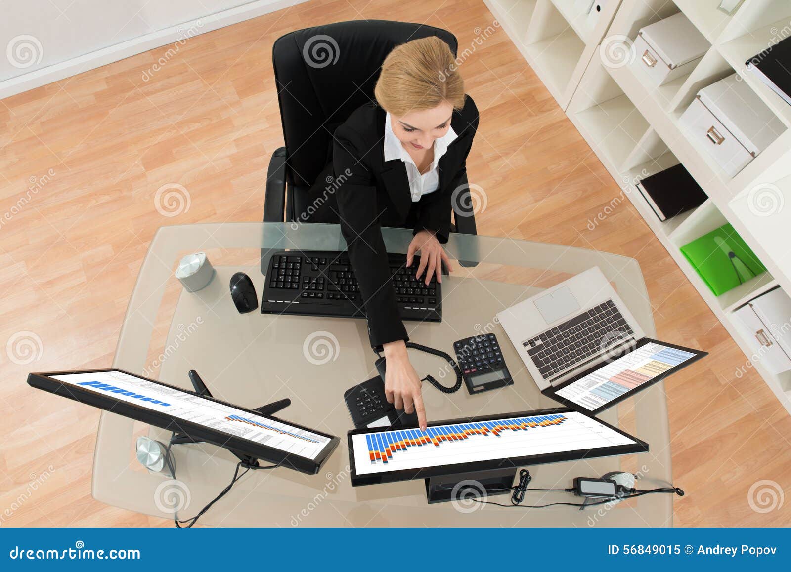 Businesswoman Analyzing Financial Data and Chart on Computer Stock ...