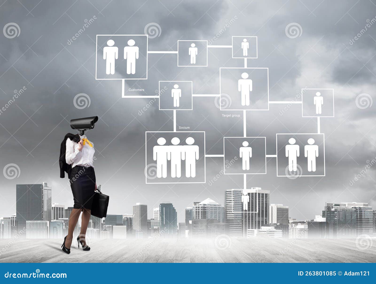 Concept of Security and Privacy Protection with Camera Headed Woman ...