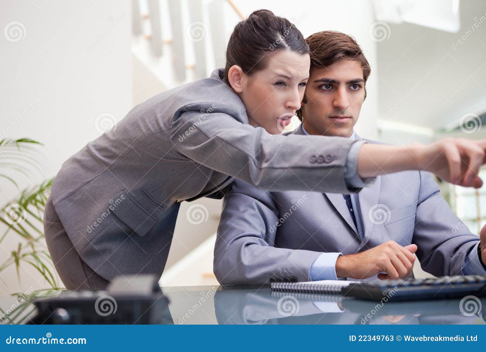 Businesswoman Explaining Computer Program Stock Image - Image of ...
