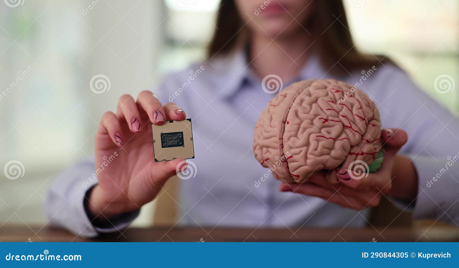 Businesswoman Holds Tiny Computer Chip in Plastic Model of Human Brain ...
