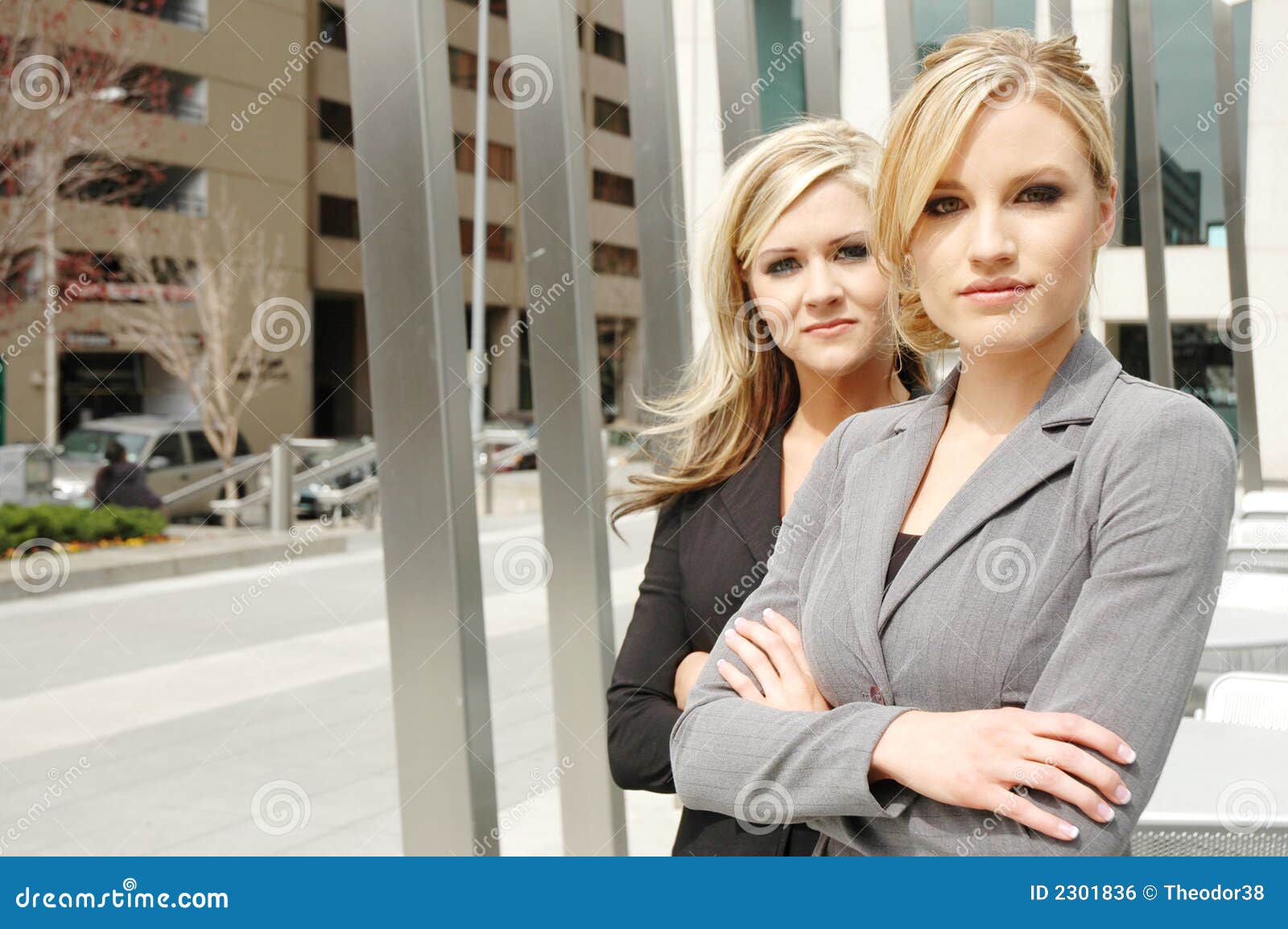 Businesswoman partners stock photo. Image of teamwork - 2301836