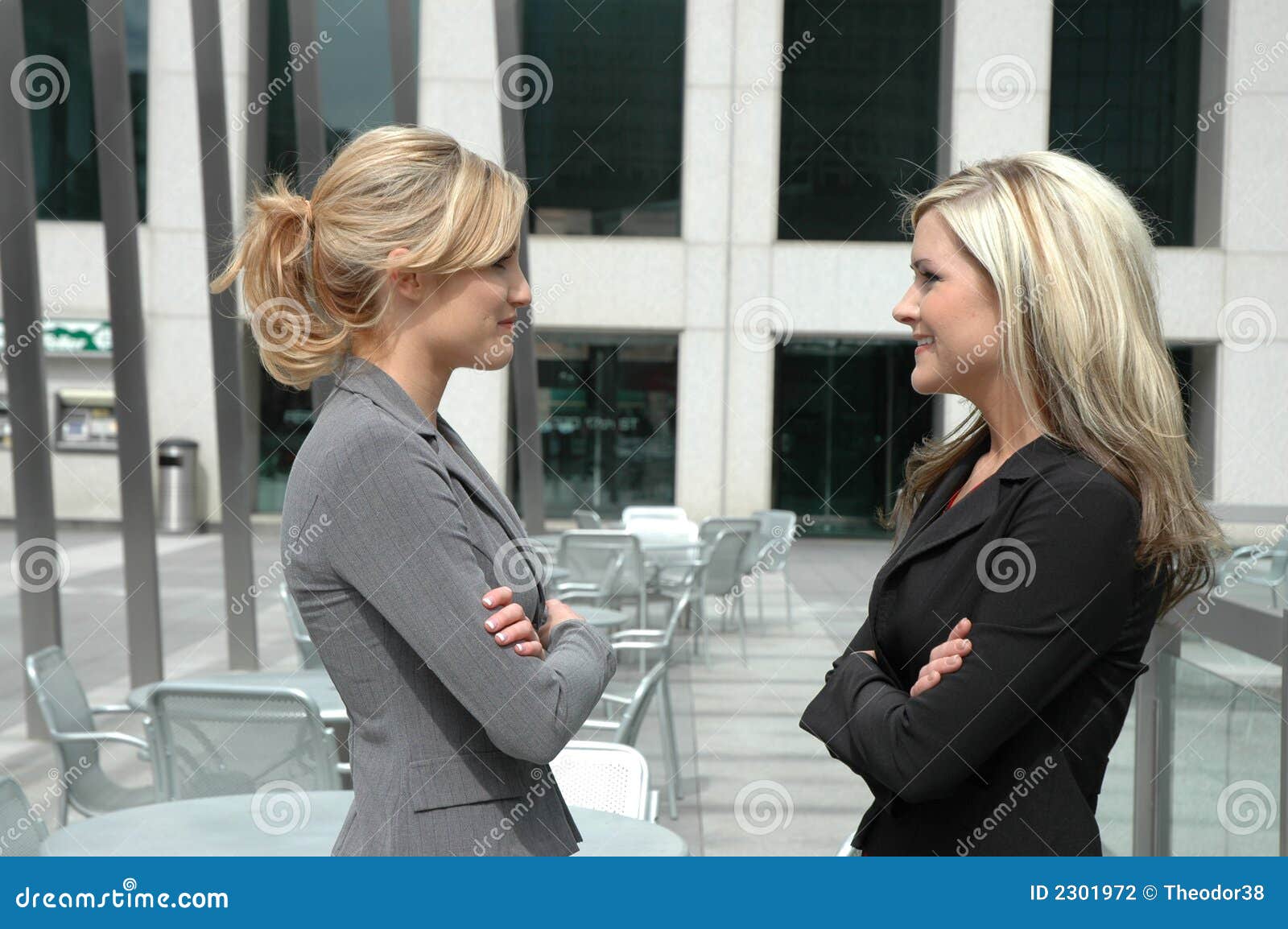 Businesswoman partners stock photo. Image of woman, employer - 2301972