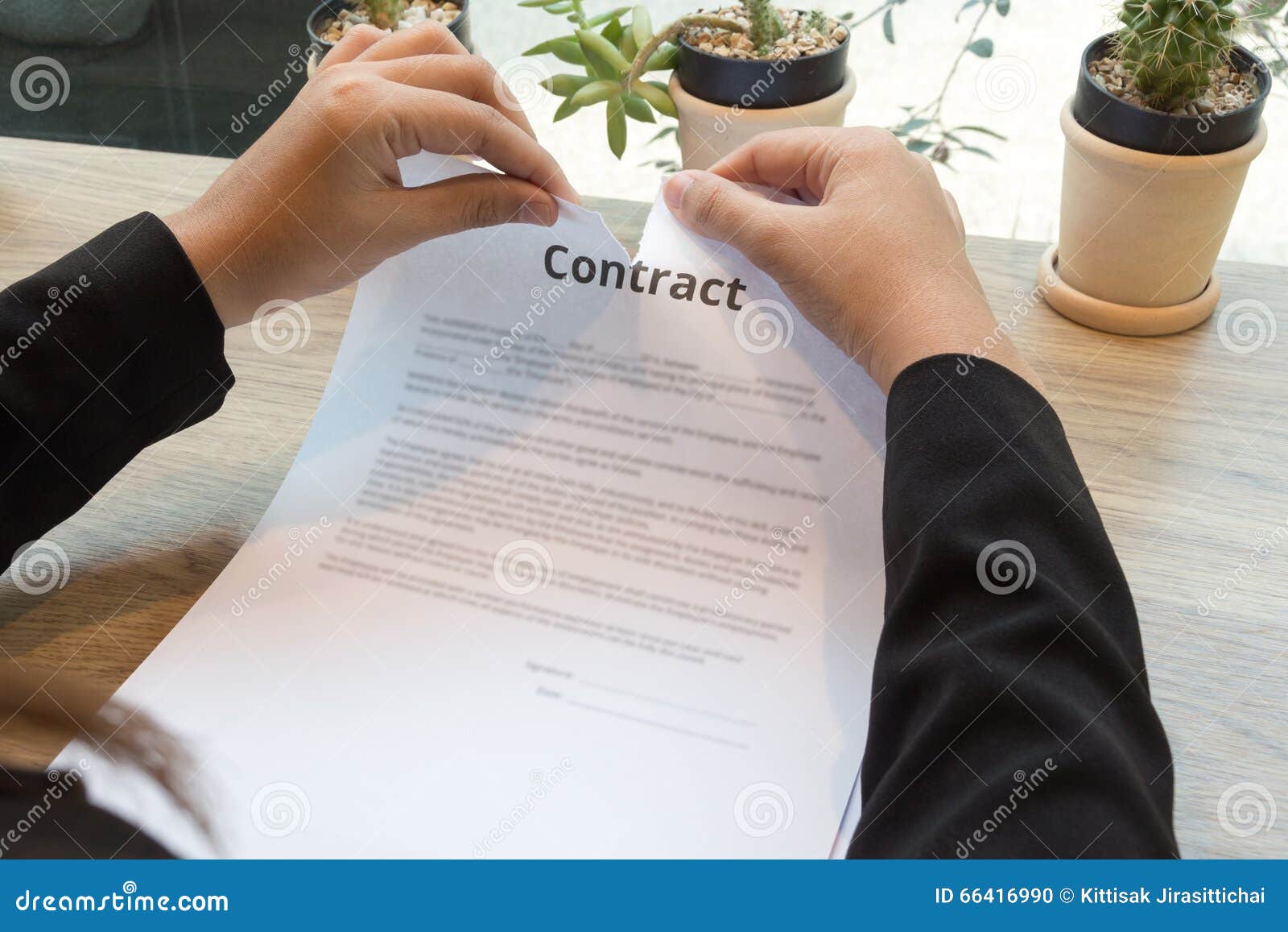 Businesswoman Ripping Up a Contract Stock Photo - Image of desk ...