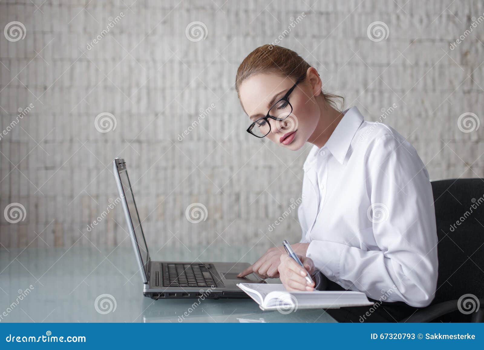 Businesswoman Schedule into Diary in Office Deadline Stock Image ...