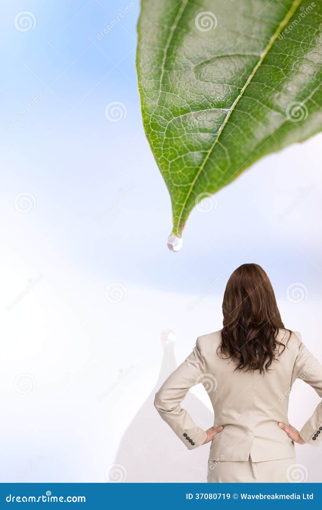 Businesswoman Standing Back To Camera Stock Image - Image of women ...