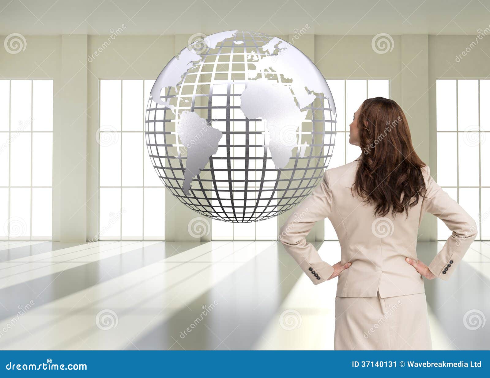 Businesswoman Standing Back To Camera Stock Image - Image of silver ...
