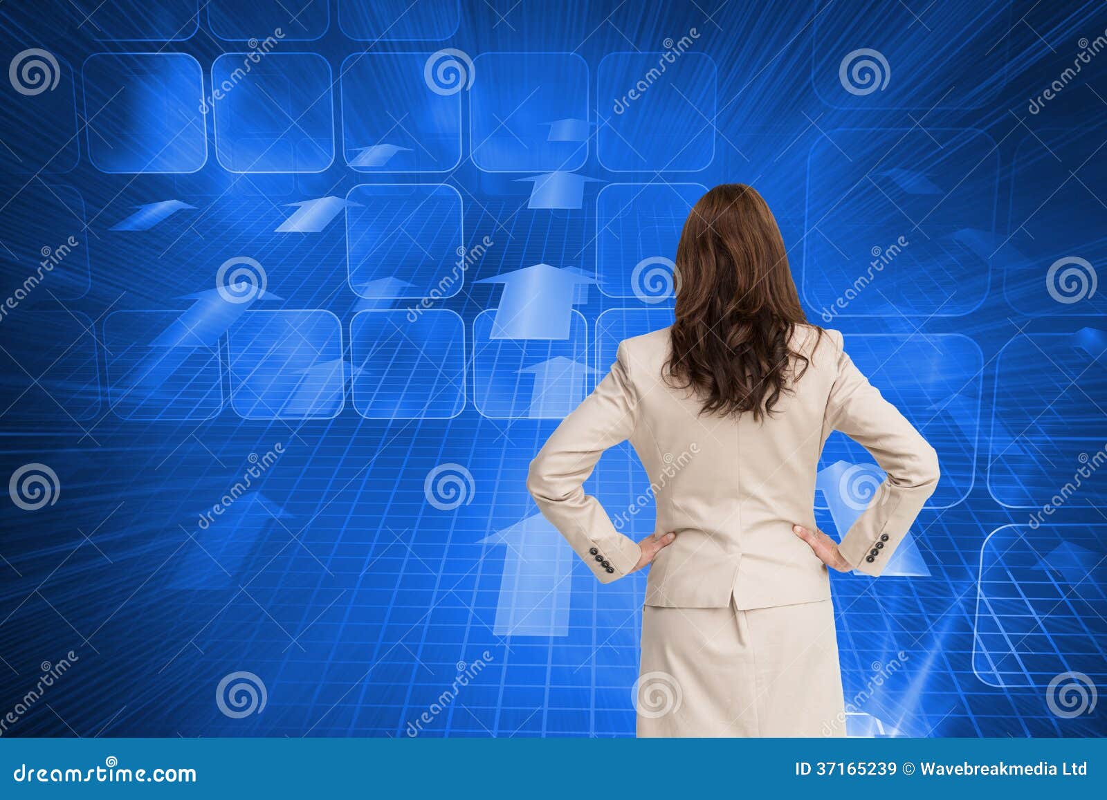 Businesswoman Standing Back To Camera Stock Image - Image of screen ...