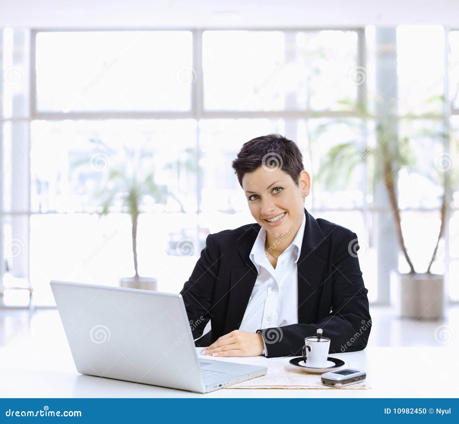 Businesswoman Using Computer Stock Photo - Image of businessperson ...
