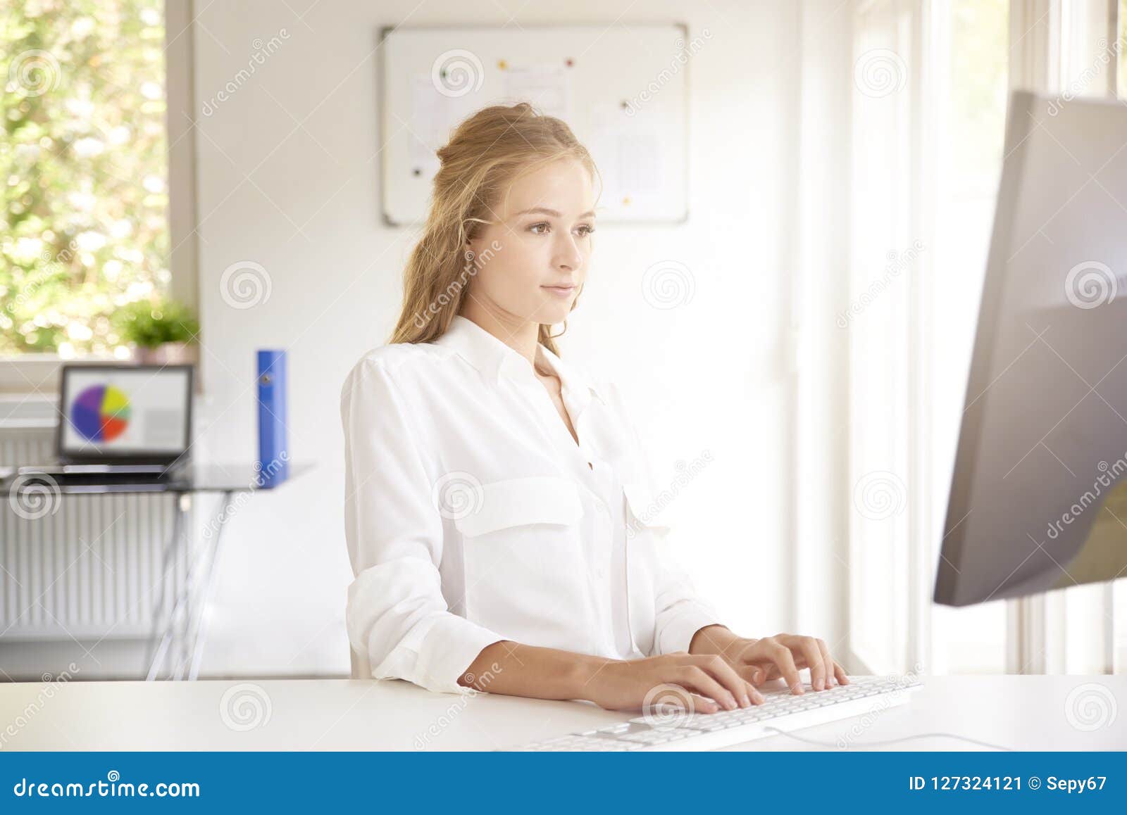 Businesswoman Using Computer in the Office Stock Image - Image of ...