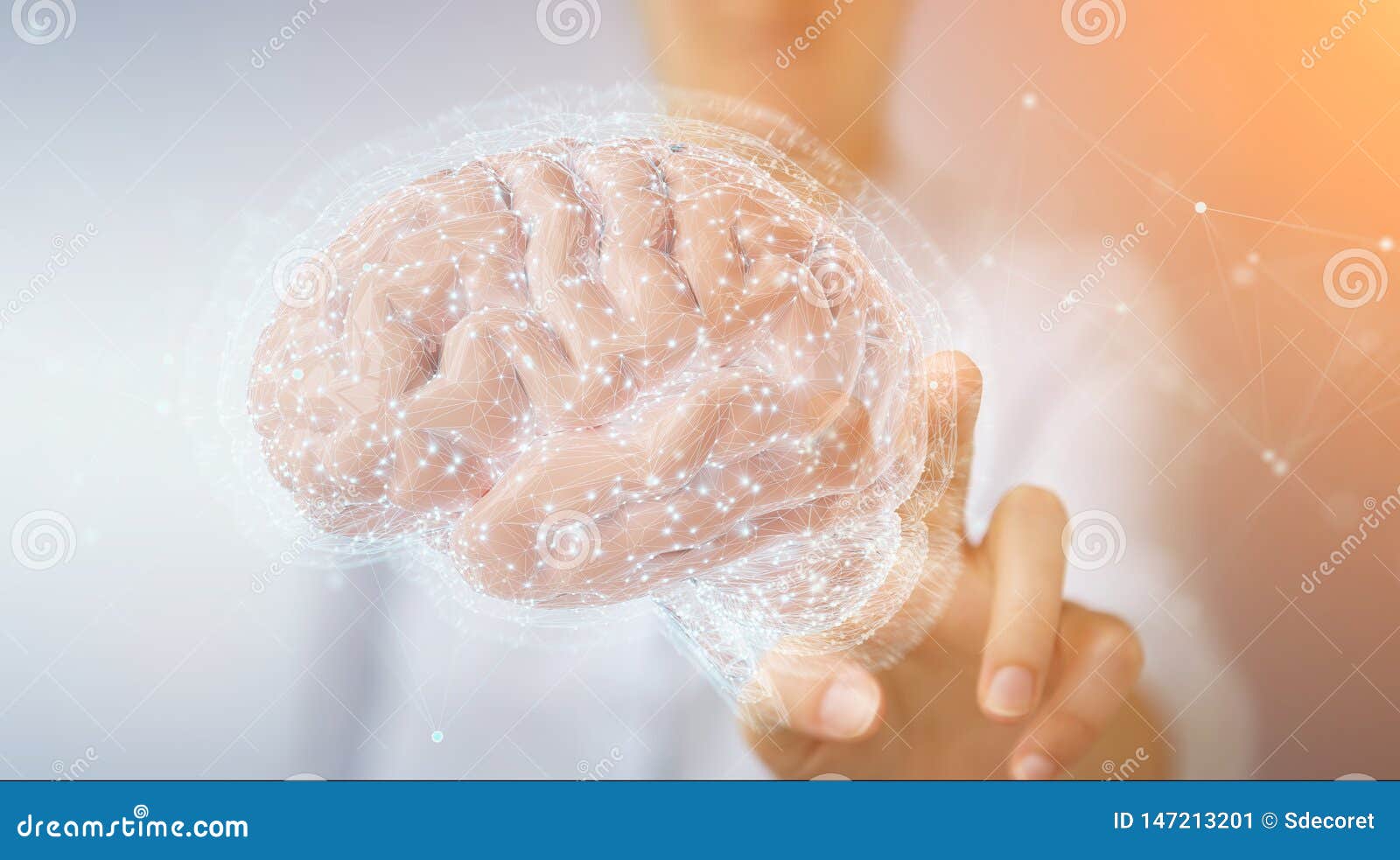 Brain Rendering With Front And Back Views Showcasing The Intricate ...