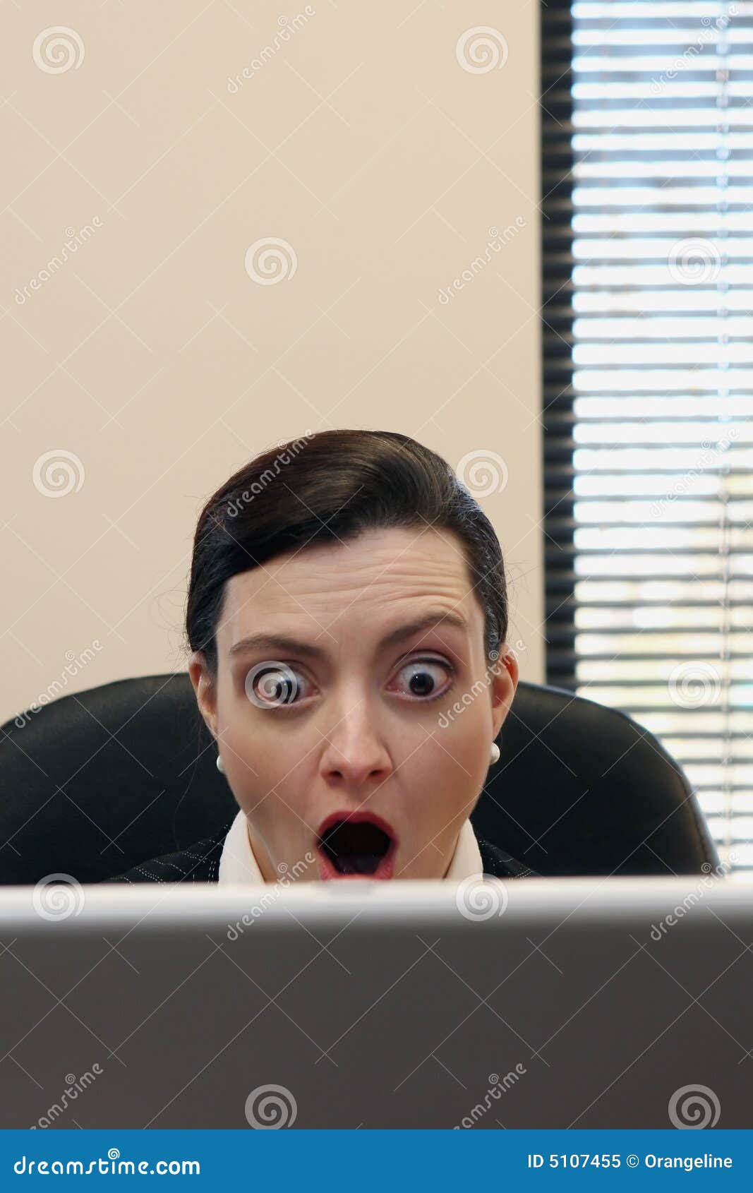 218 Rat Laptop Stock Photos - Free & Royalty-Free Stock Photos from ...