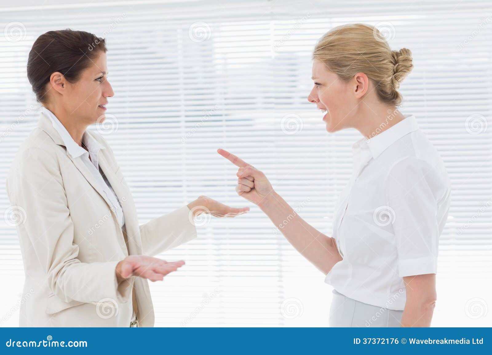 Businesswomen Fighting in the Office Stock Photo - Image of elegance ...
