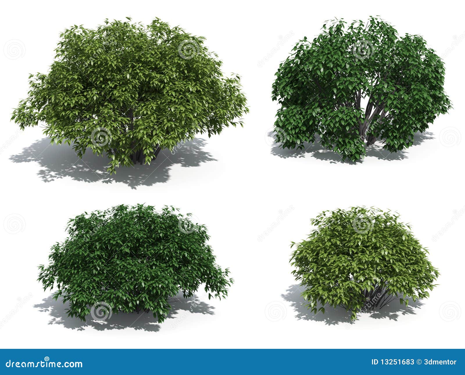 Buskar stock illustrationer. Illustration av dunge, parkera - 13251683