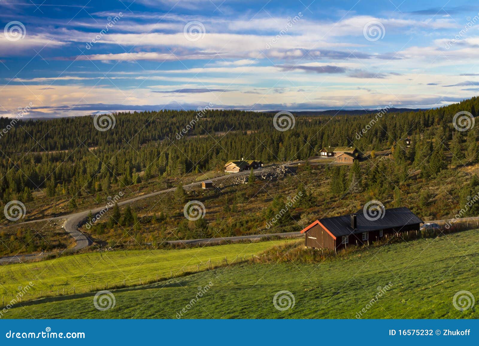 Buskerud, Norway stock photo. Image of europe, tree, norway - 16575232