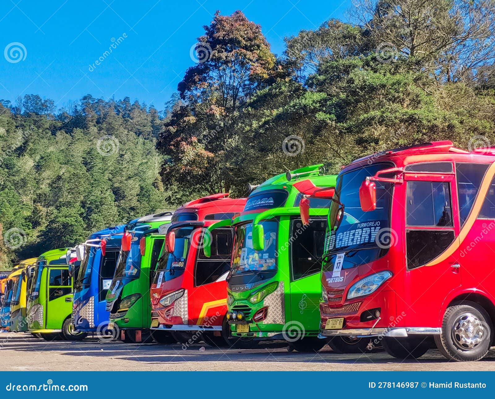Buss Staying in the Parking Lot. Front View of the Buses with Blue Sky ...