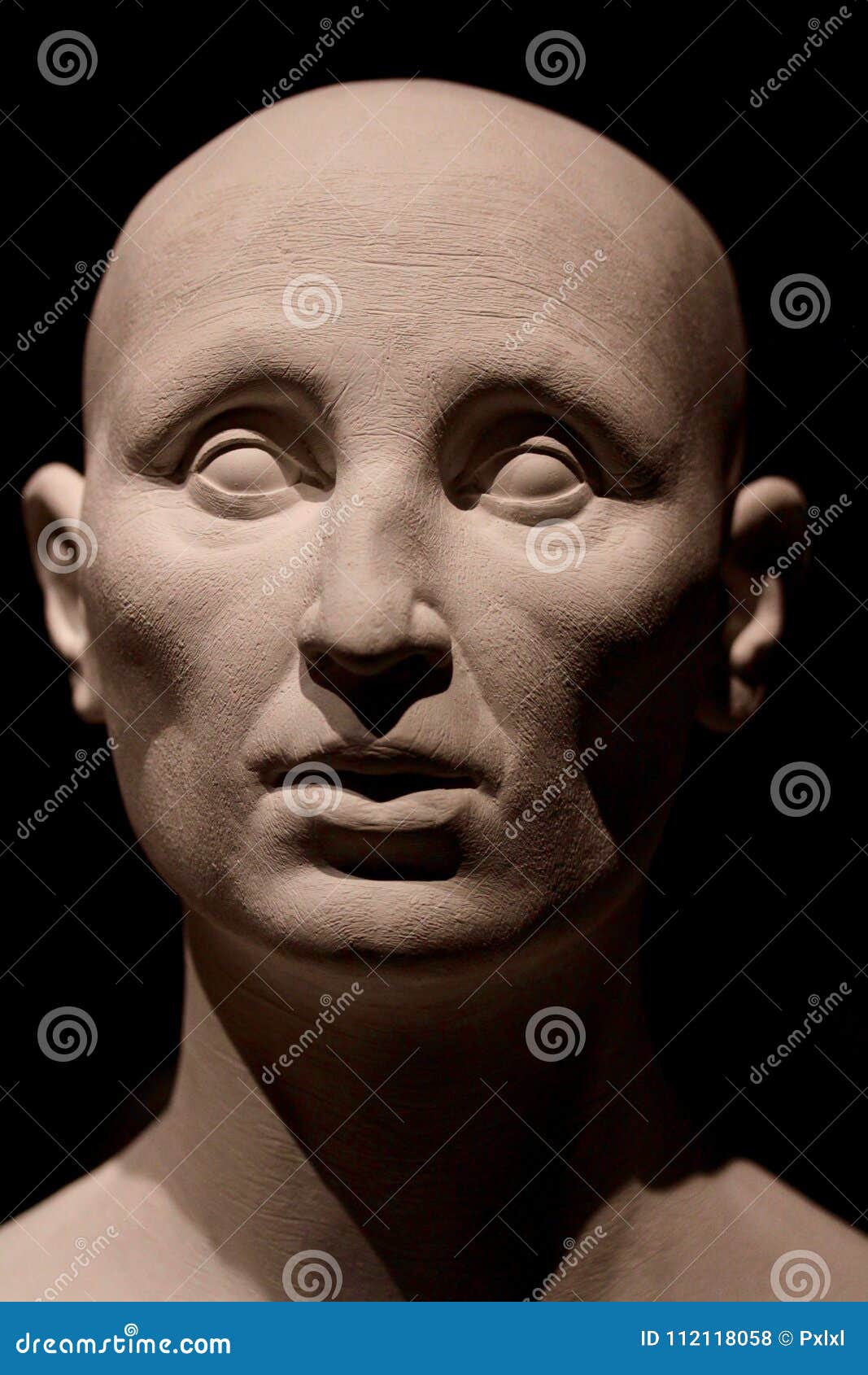 Human head model stock photo. Image of avatar, manikin - 112118058