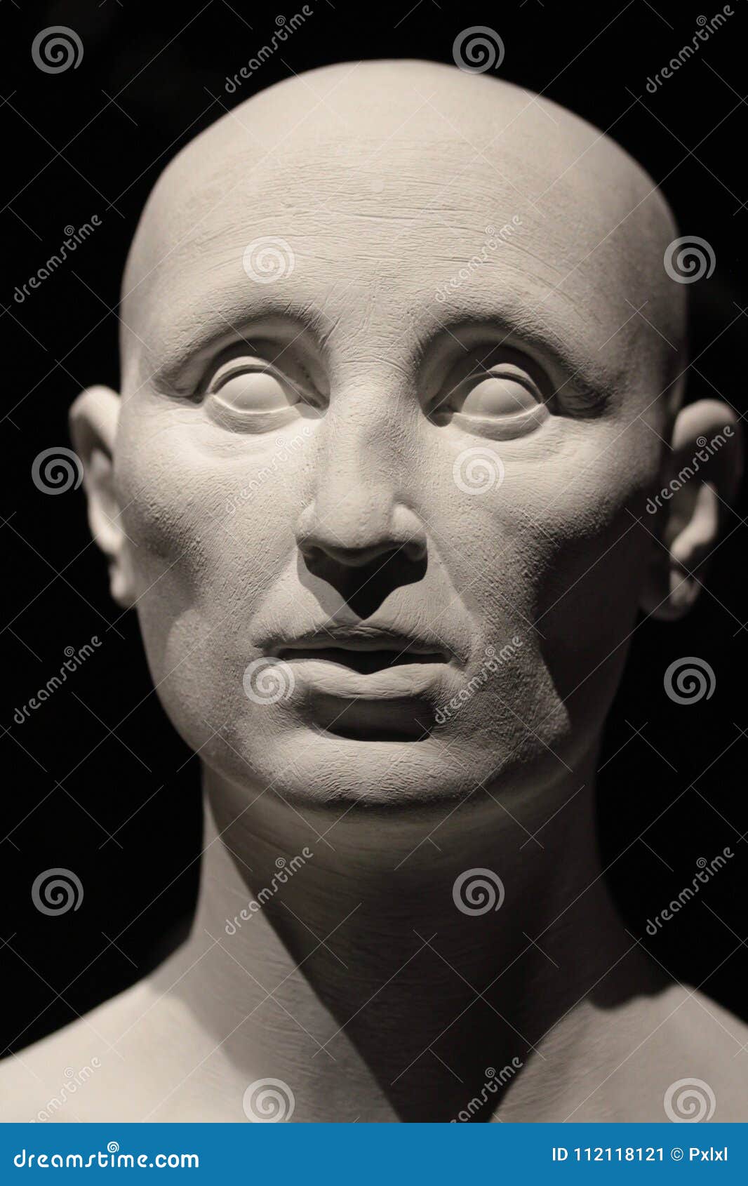 Human head model stock image. Image of artificial, male - 112118121