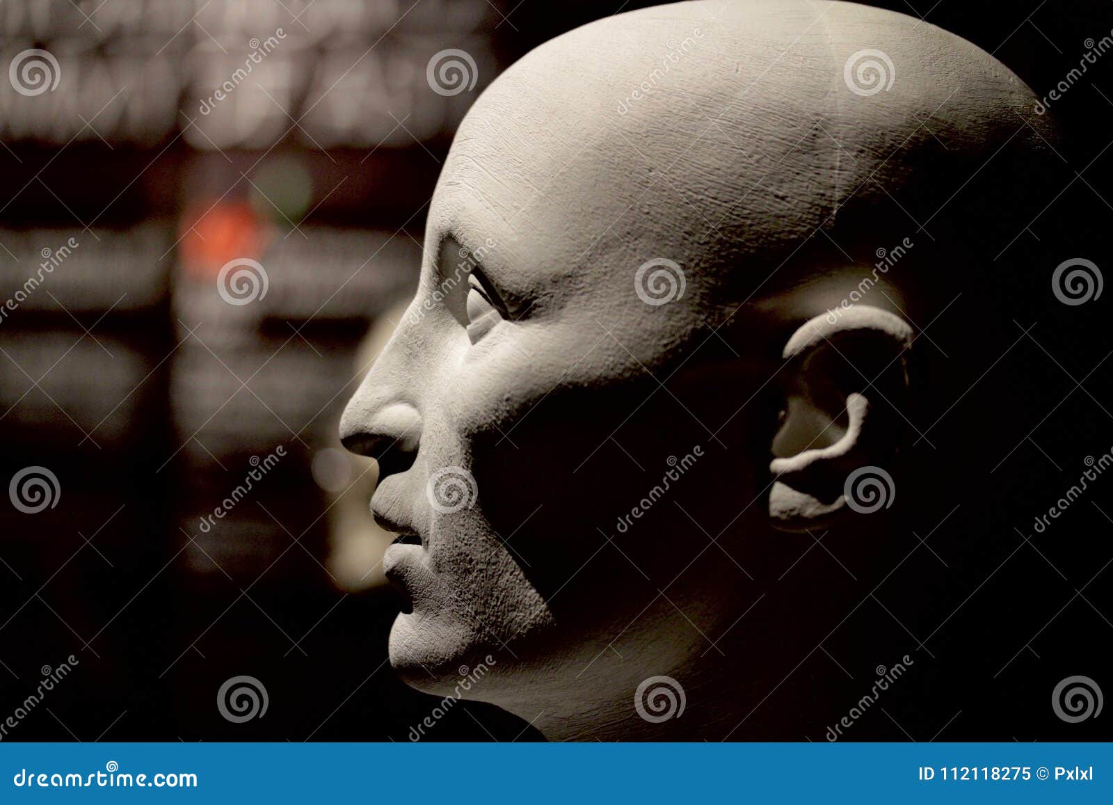 Human head model stock image. Image of generic, abstract - 112118275