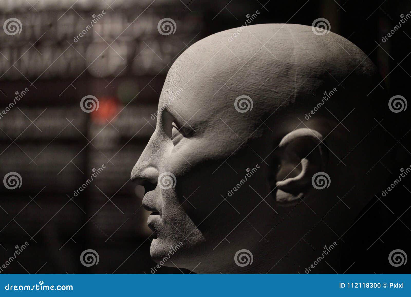 Human head model stock photo. Image of abstract, manikin - 112118300
