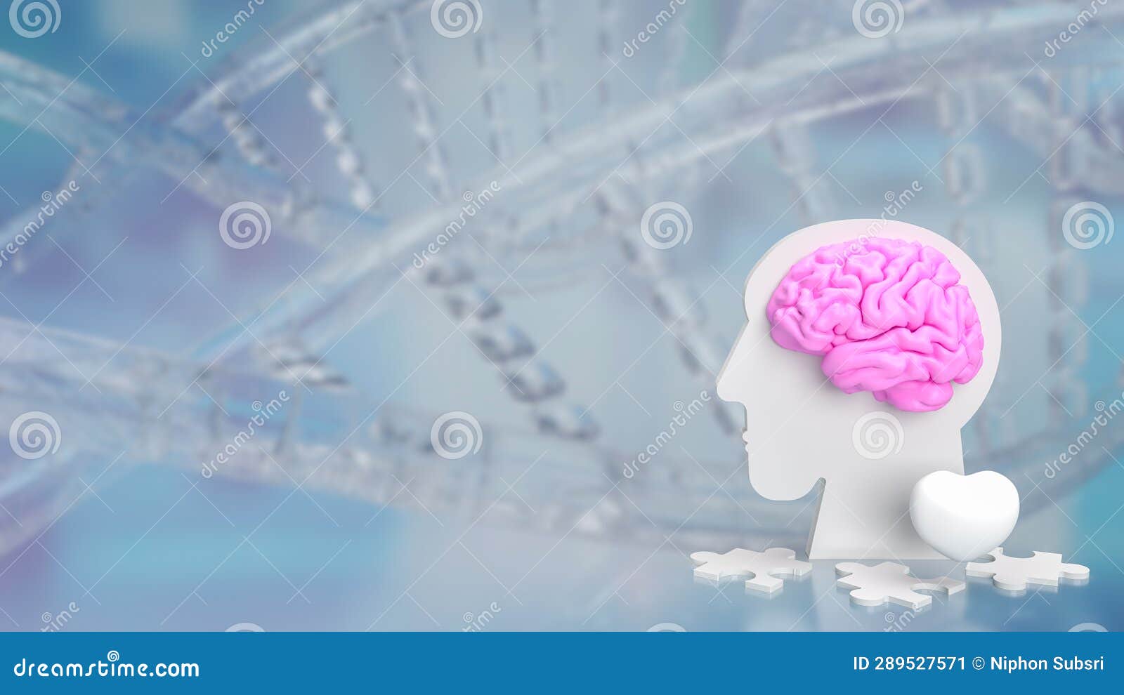 The Bust Head and Brain for Sci or Medical Concept 3d Rendering Stock ...