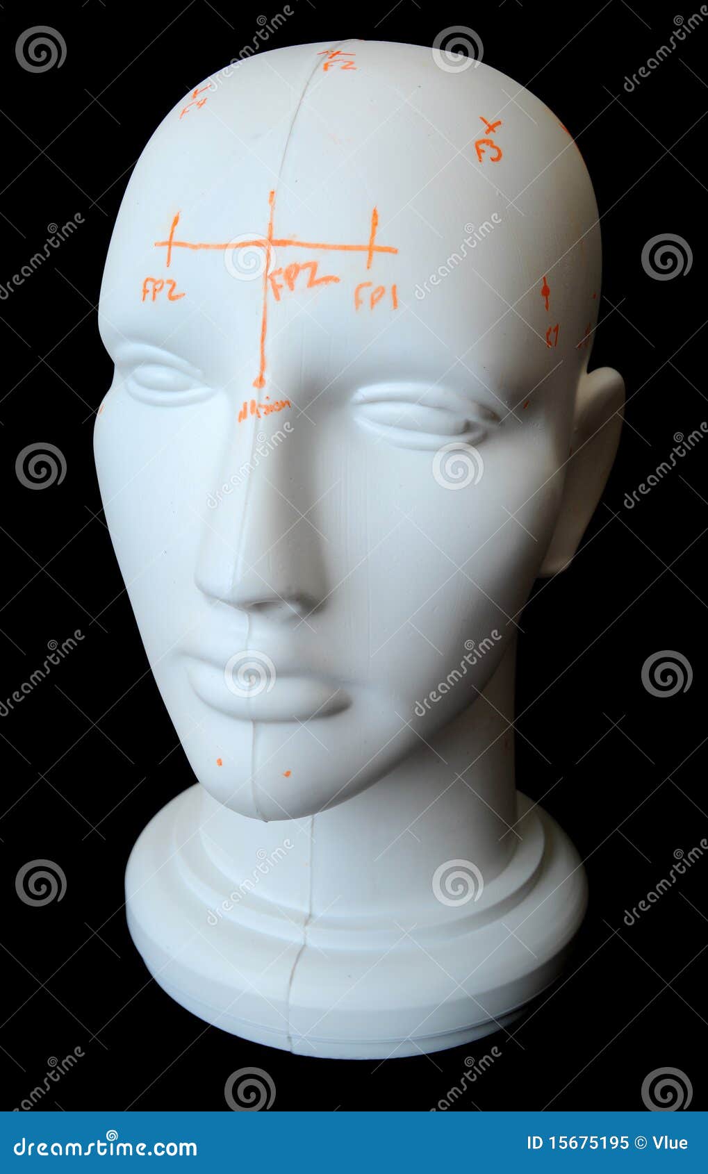 Bust Head with Electrode Markings Stock Image - Image of isolated ...