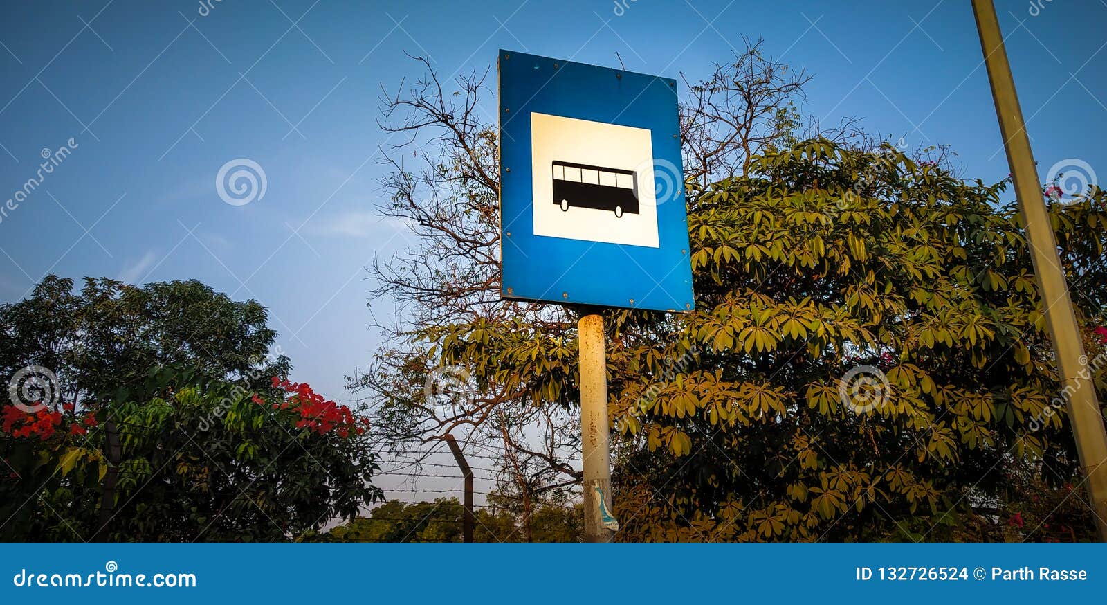 Bust Stop Sign Board on the Road Stock Photo - Image of passenger ...