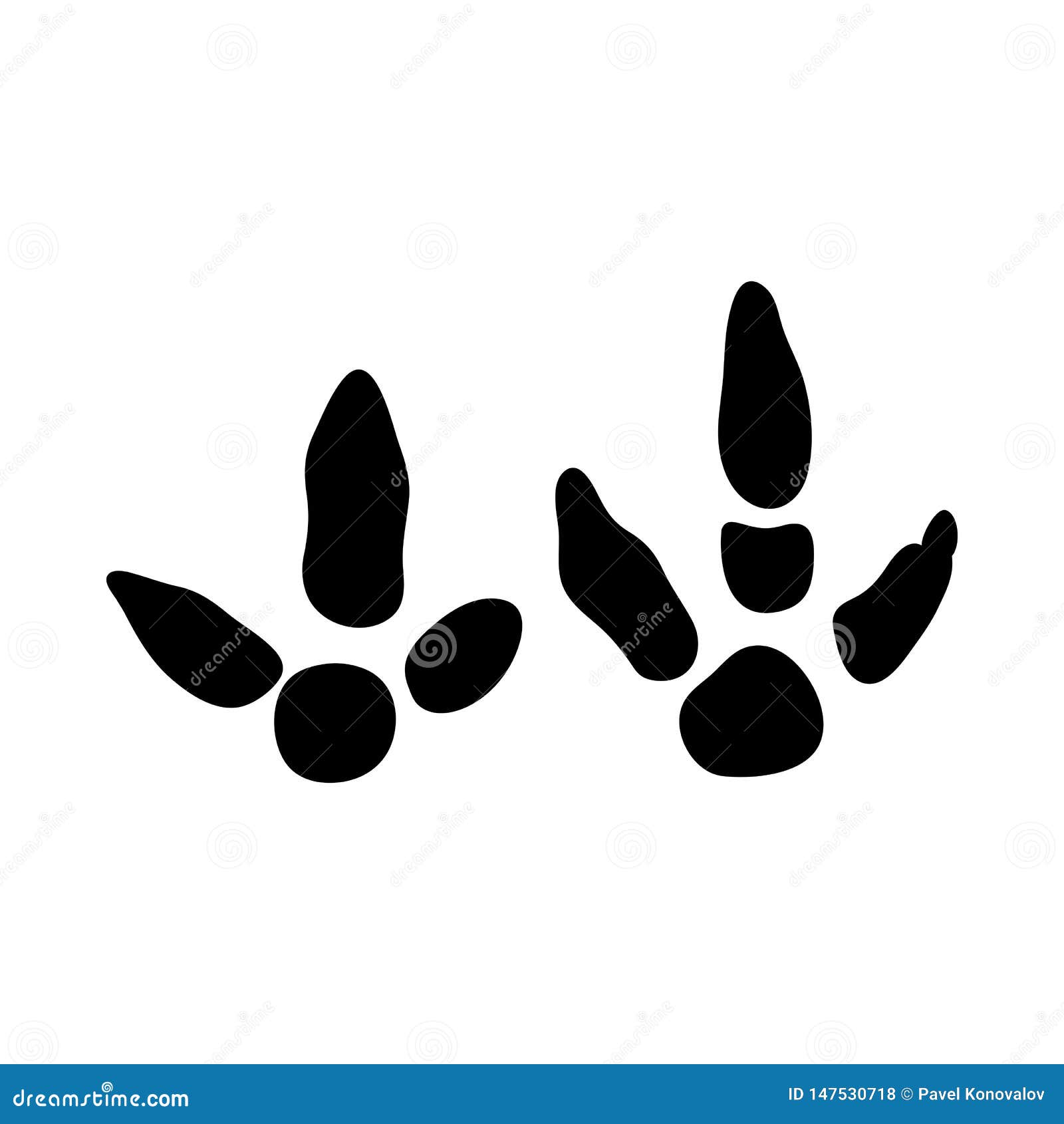Bustard Footprint stock vector. Illustration of feather - 147530718