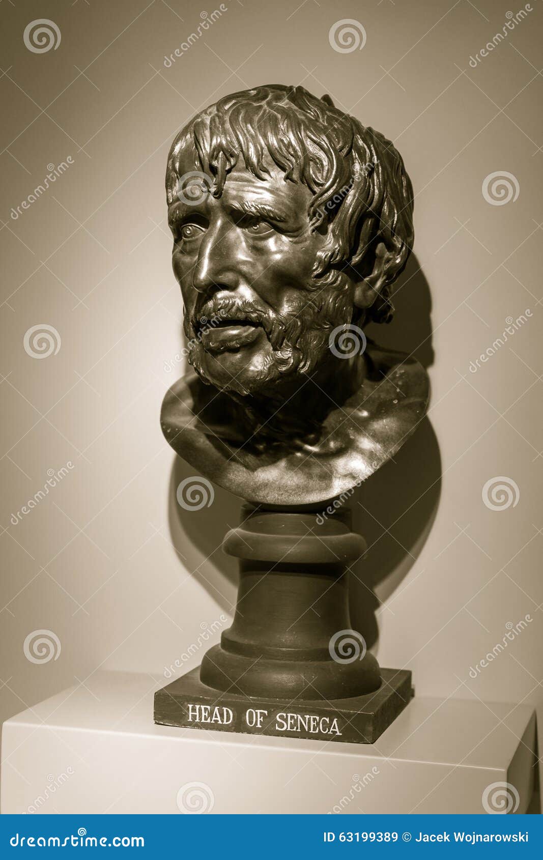Busto Del Seneca, Capturado En El Museo De Holburne Imagen de archivo ...