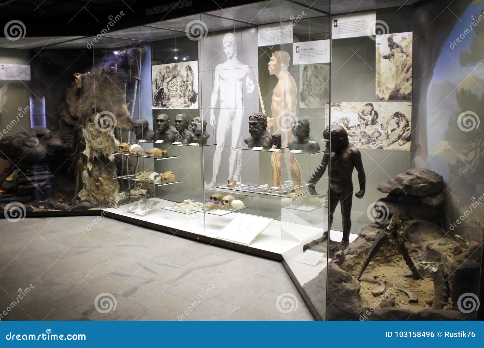 Busts of People of the Stone Age. Reconstruction. Editorial Photo ...