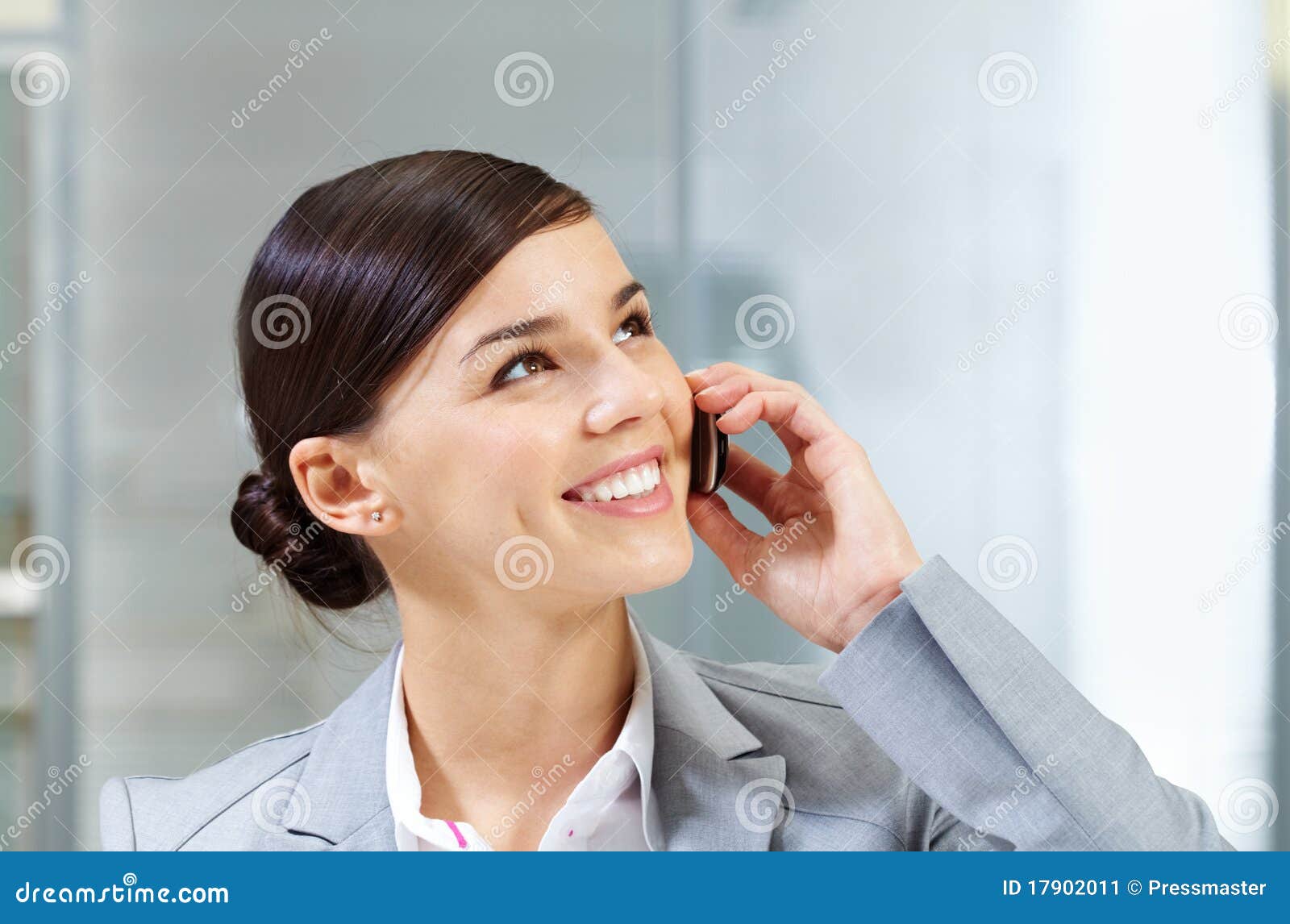 Busy boss stock image. Image of adult, businesswoman - 17902011